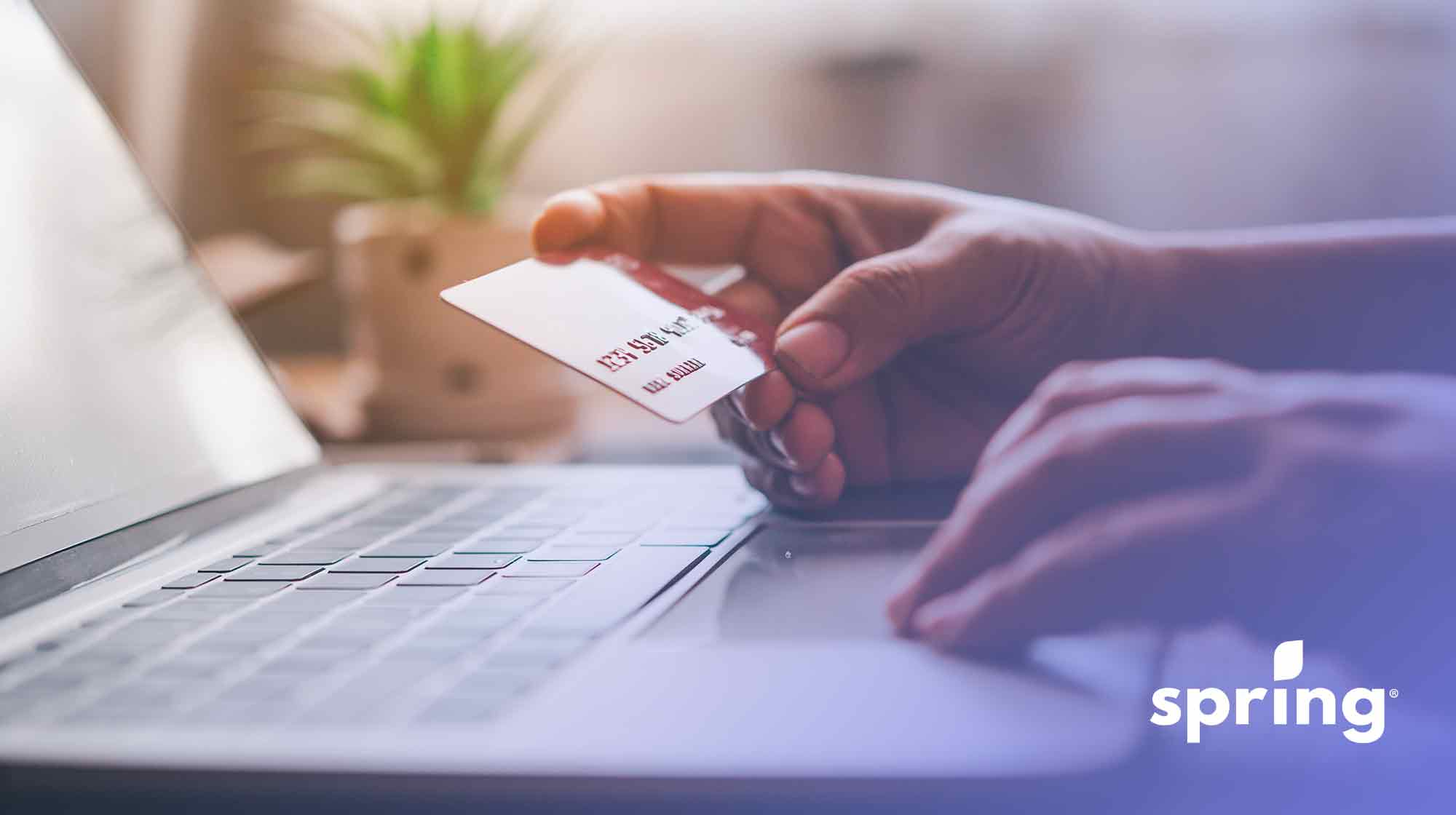 What’s an IBAN Number in Canada? - Spring Financial