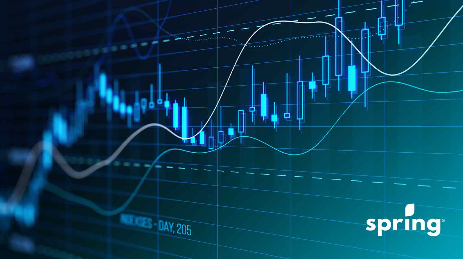 Best Stocks for Beginners With Little Money - Spring Financial